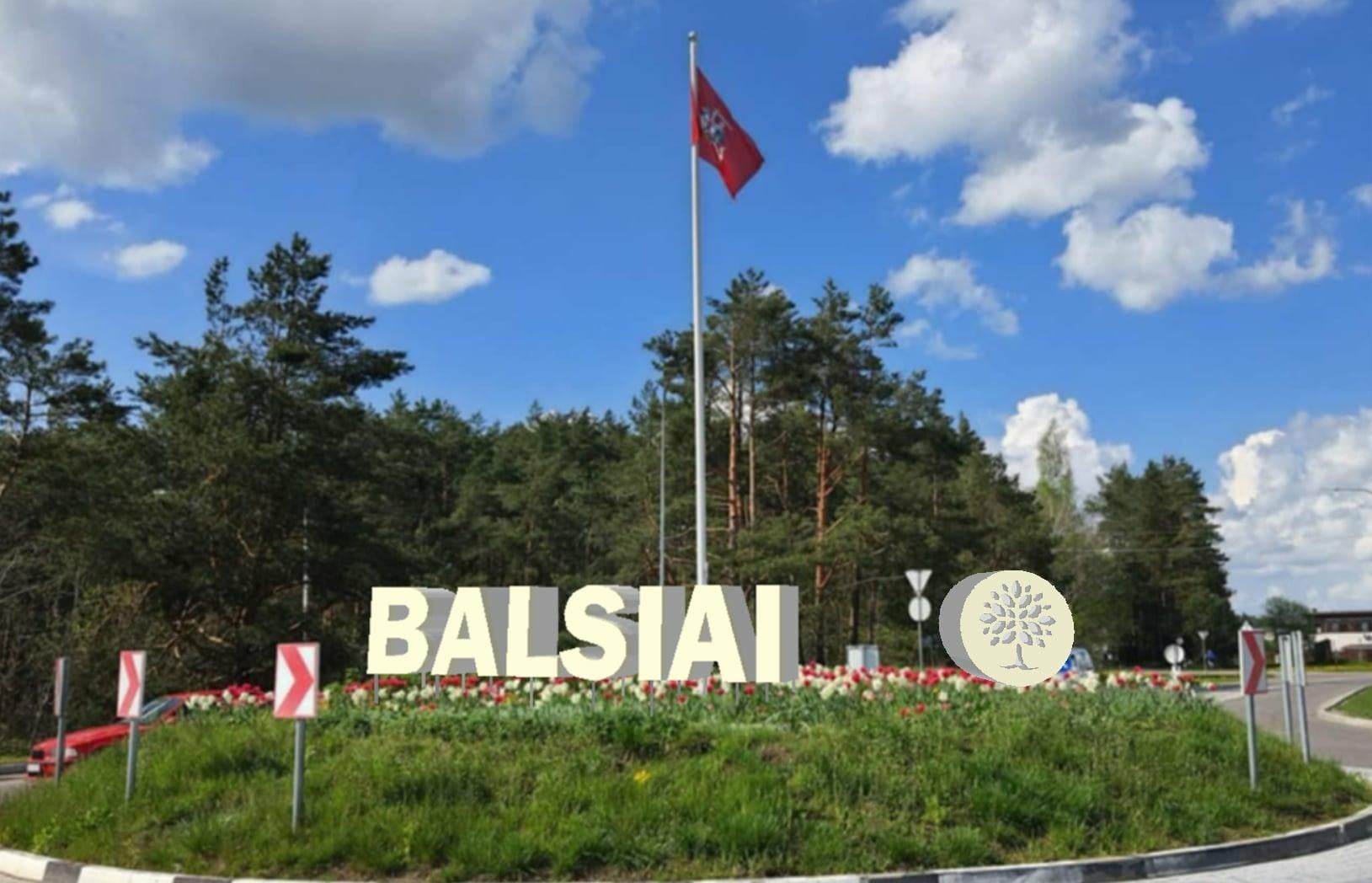 Balsi enklas Dalyvauk Vilnius